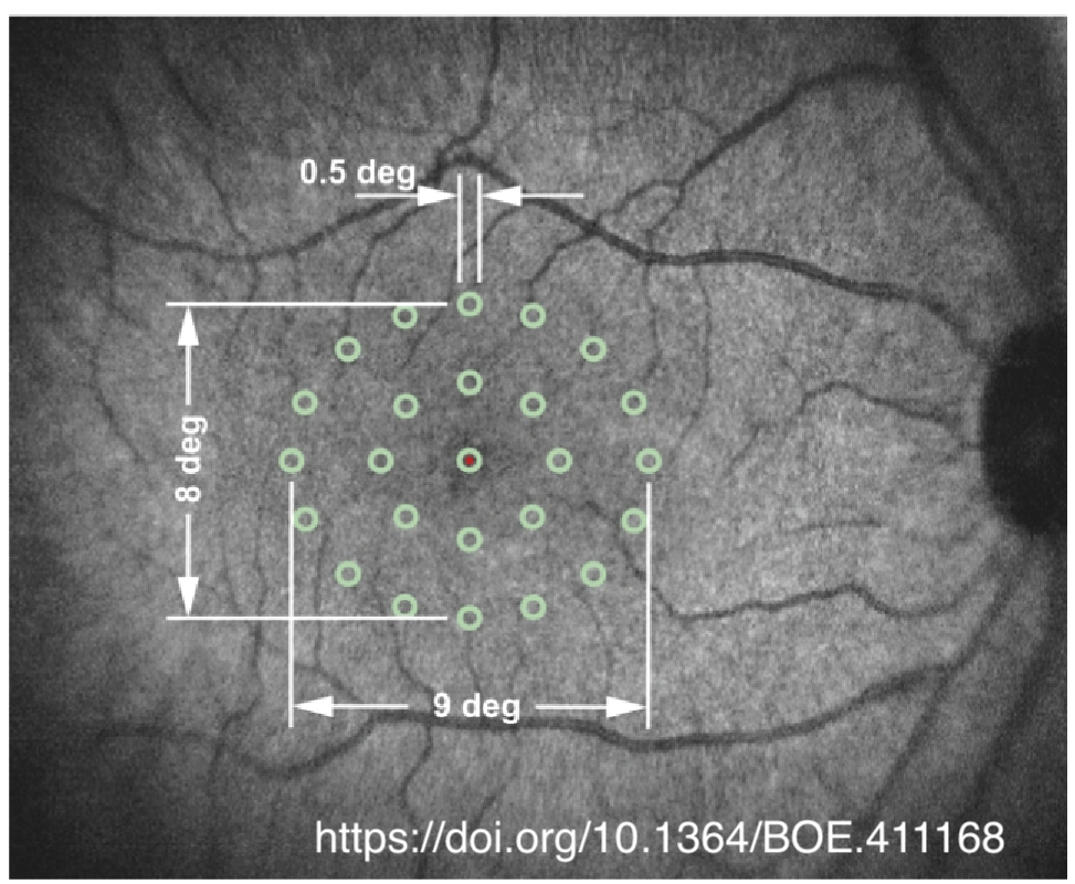 Fluence Oscillator as a perfect tool for two-photon microperimetry ...